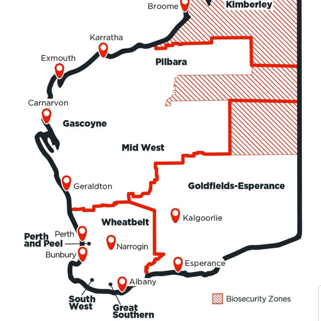 What is WA’s Roadmap for COVID-19